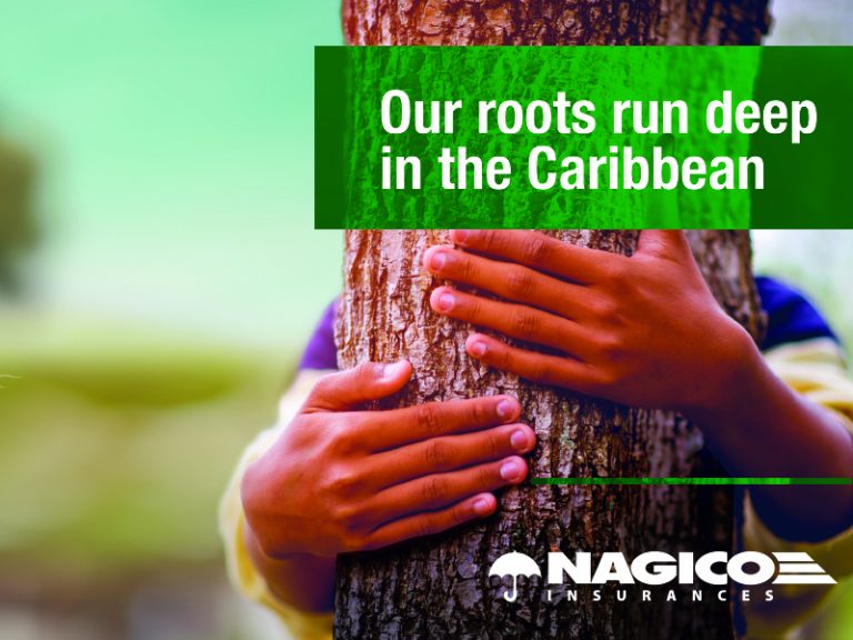 Annual Reports - Nagico Insurances : Nagico Insurances